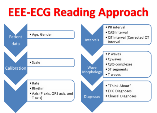 How To Read An ECG: The ECGEDU Approach To Reading EKGs